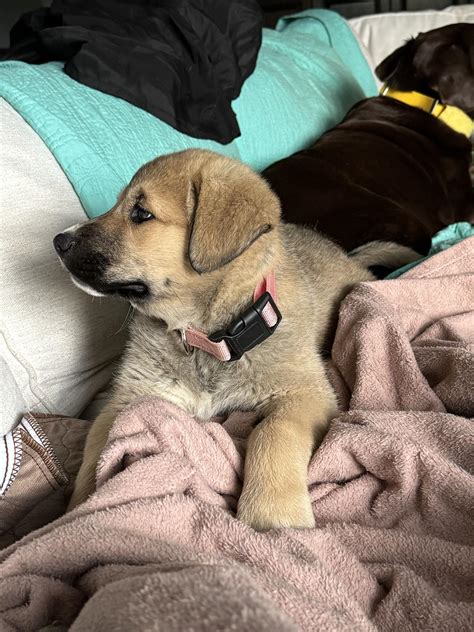 Sierra Album On Imgur