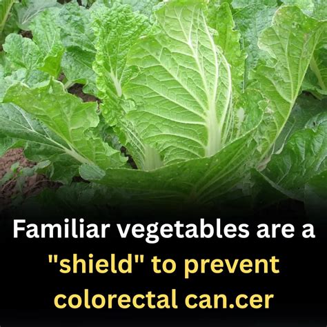 Familiar Vegetables Are A Shield To Prevent Colorectal Cancer