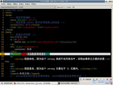 html 和 css 蓝桥云课