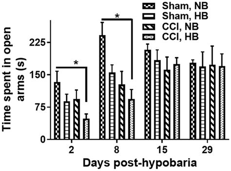 Traumatic Brain Injury Induced Anxiety Like Behavior Is Aggravated By