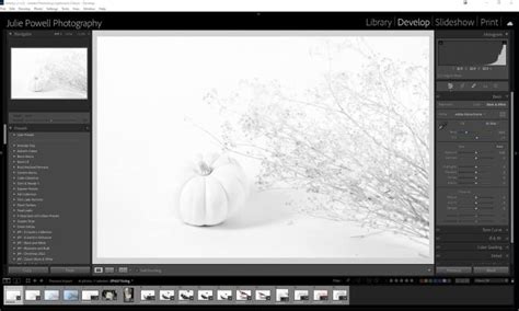Mastering The Art Of High Key Photography Photofocus