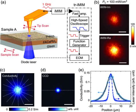 Photoconductivity Mapping On Facspbi 3 And Diffusion Analysis A
