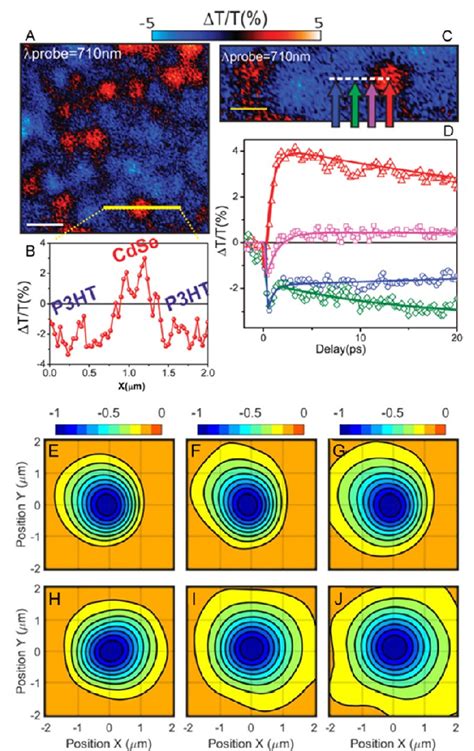 A Ta Image Of Cdse Nanocrystals Red And Poly3 Hexylthiophene