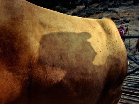 The Grass Needs To Be Cut Phmuseum