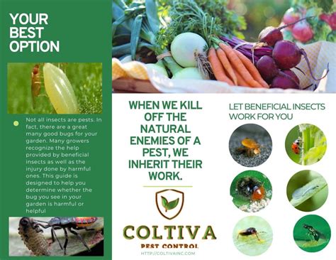 Let Beneficial Insects Work For You 247 Amazing Trick