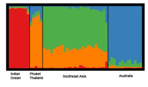 Bayesian Population Assignment Test Of 51 Hydrophis Curtus Individuals