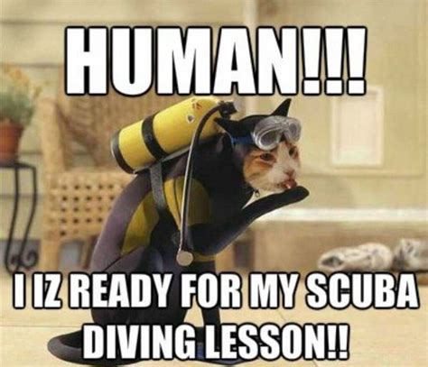 Funny Scuba Diving Memes Laughs Only Divers Understand