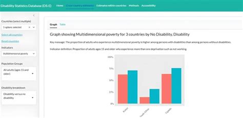 Disability Data Initiative Newsletter January 2025