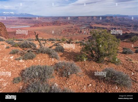 Hiking The Dead Horse Trail In Dead Horse Point State Park In Utah In