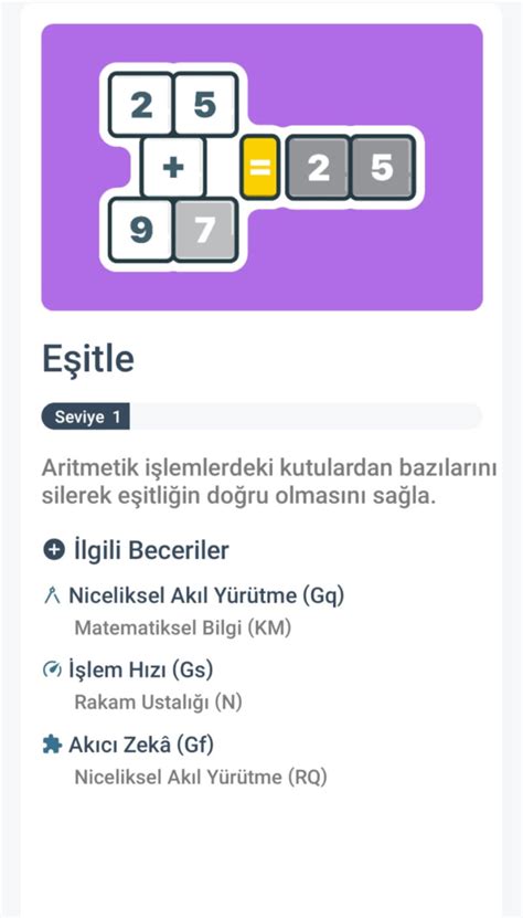 Kiosk Oyunları 100 Yıl Zeka Oyunları Ve Matematik Parkı