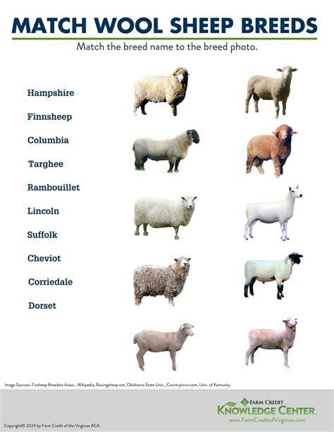 Breed Series Farm Credit Of The Virginias