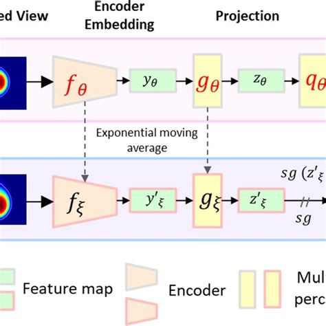 Illustrative Framework Depicting The Proposed Methodology Of Download Scientific Diagram