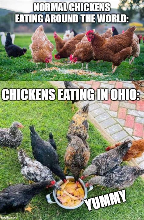 Eating Chicken Funny Quotes At Annabelle Parkhill Blog