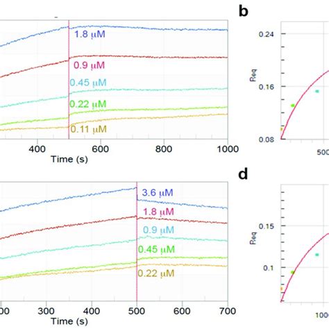 Real Time Biolayer Interferometry Sensorgrams For Determination Of