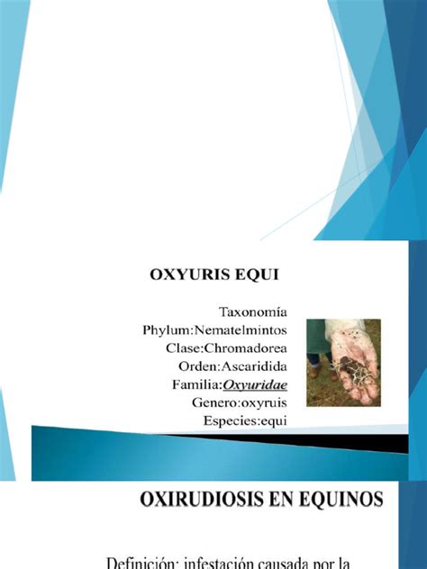 Oxyuris Equi Pdf
