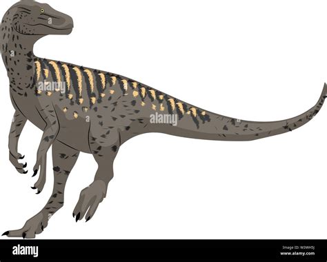 Herrerasaurus Dinosaur Stock Vector Images Alamy