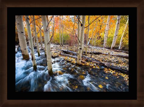 Limited Editions Mammoth Lakes Leading Fine Art Gallery Blake