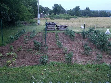 Stephanie Goad Stephdavisgoad Twitter