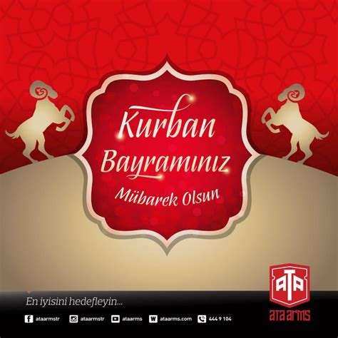 Ilknur Koken Posted On Linkedin