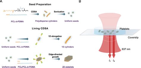 Real Time Label Free Imaging Of Living Crystallization Driven Self