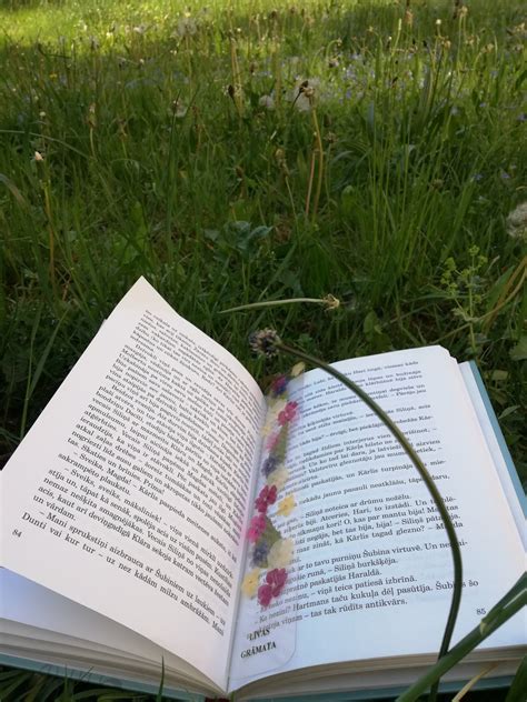 Līvas Alksnes Logs Uz Pasauli Gundega Repše Ugunszīme