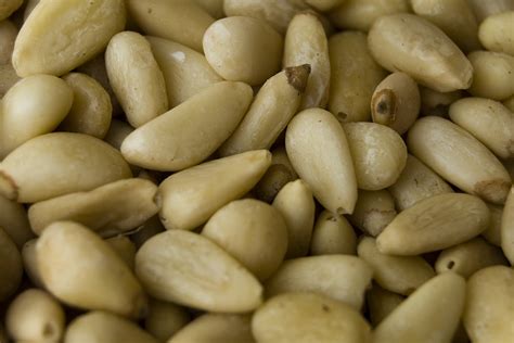 Piñones Propiedades Beneficios Y Su Uso En La Cocina