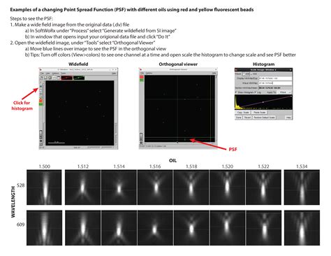 Sample Preparation For Sim Imaging Center For Advanced Light Microscopy