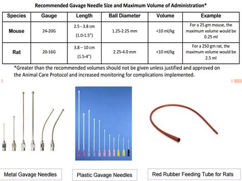 Acute Oral Toxicity Acute Class Method Pptx
