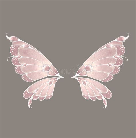 Alas De Hadas Stock De Ilustración Ilustración De Ornamentos 6650647