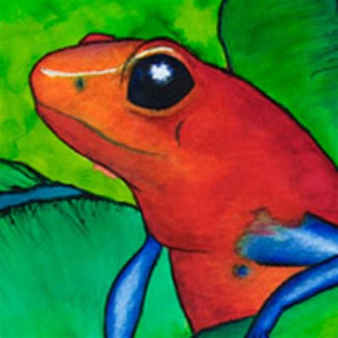Strawberryfrog Etsy