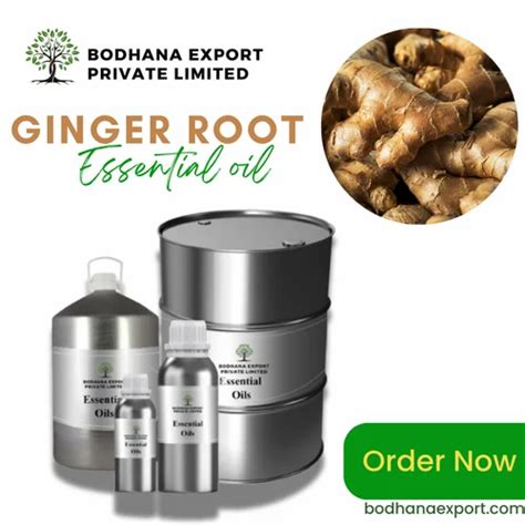 Ginger Root Essential Oil 1 Kg At ₹ 4500kg In New Delhi Id 2854738981012
