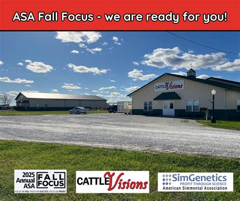 Cattle Tomorrow Is An Exciting Day Here At Cattle Visions We Get To