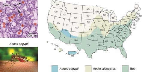 153 How Diseases Spread Biology Libretexts