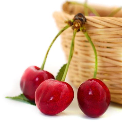Red Cherry Isolated Premium Photo