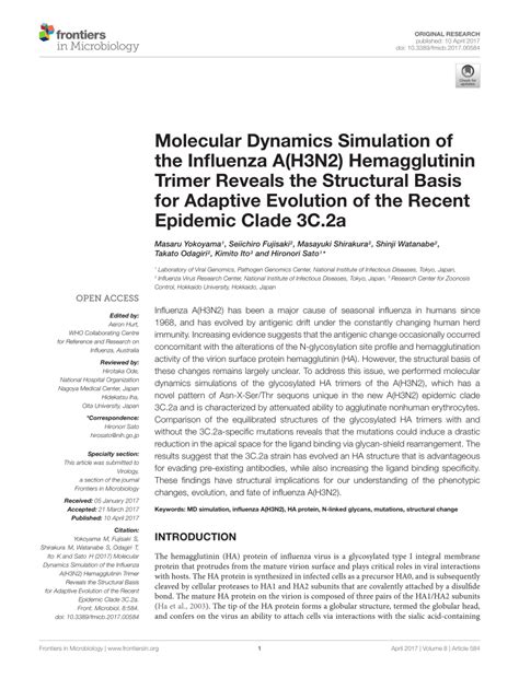 Pdf Molecular Dynamics Simulation Of The Influenza Ah3n2 Hemagglutinin Trimer Reveals The