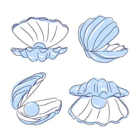 Clam Shell Clip Art 95 Free Clam Clipart Images