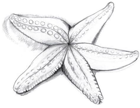 Pin On Watercolor Ideas
