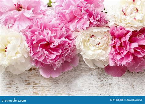 Peonie Rosa Sbalorditive Garofani Gialli E Rose Fotografia Stock Immagine Di Garofani Saluti
