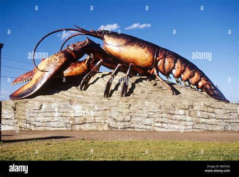 Largest Lobster In The World