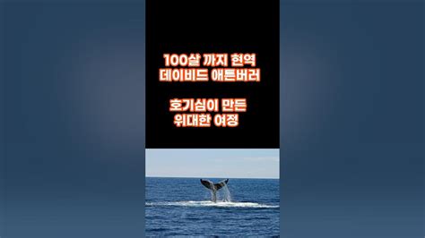 100살 까지 현역데이비드 애튼버러 호기심이 만든 위대한 여정 Youtube
