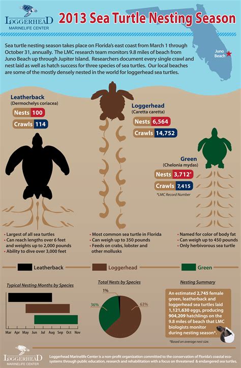 Green Sea Turtle Nesting Sites