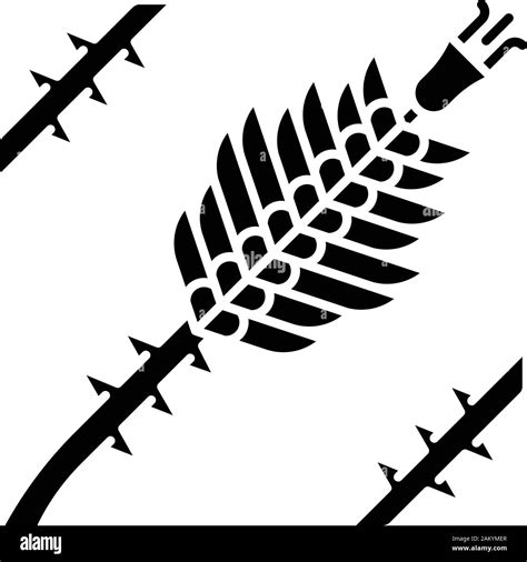 Ocotillo Stock Vector Images Alamy