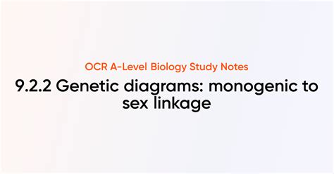 Genetic Diagrams Monogenic To Sex Linkage 9 2 2 Ocr A Level Biology Notes Tutorchase