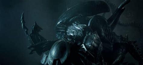 Alien Vs Predator Film  Find And Share On Giphy Neomorph 