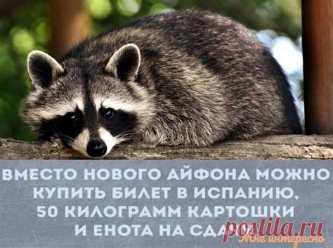 Осорожно! Повсюду люди, которые знают как вам жить лучше - новая подбор ...