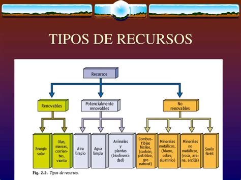 Tipos Y Ejemplos De Recursos De Una Empresa Ozizg
