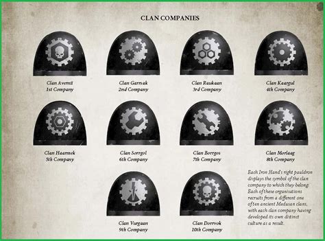 Company Markings Pauldron Colour Patterns Space Marine 2
