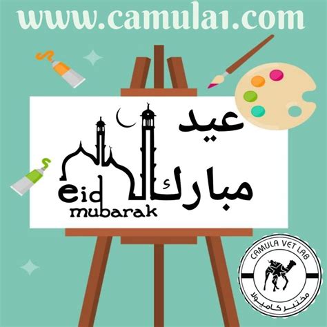 Medhat El Shemy On Linkedin Eidmubarak