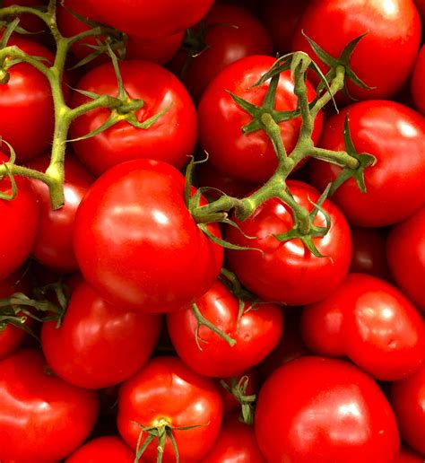 Mastering Tomato Acidity How To Balance And Enhance Its Flavor