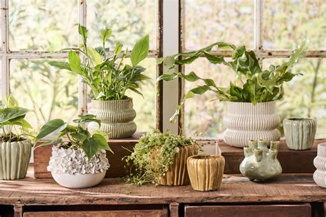 Spring Planters How To Choose The Perfect Planter For Your Spring Pla